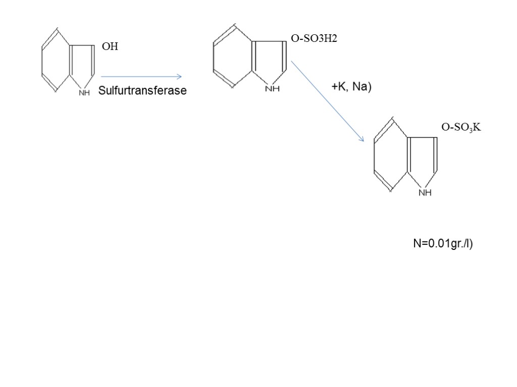 Topic: Metabolism of chromoproteids and biochemistry of the
